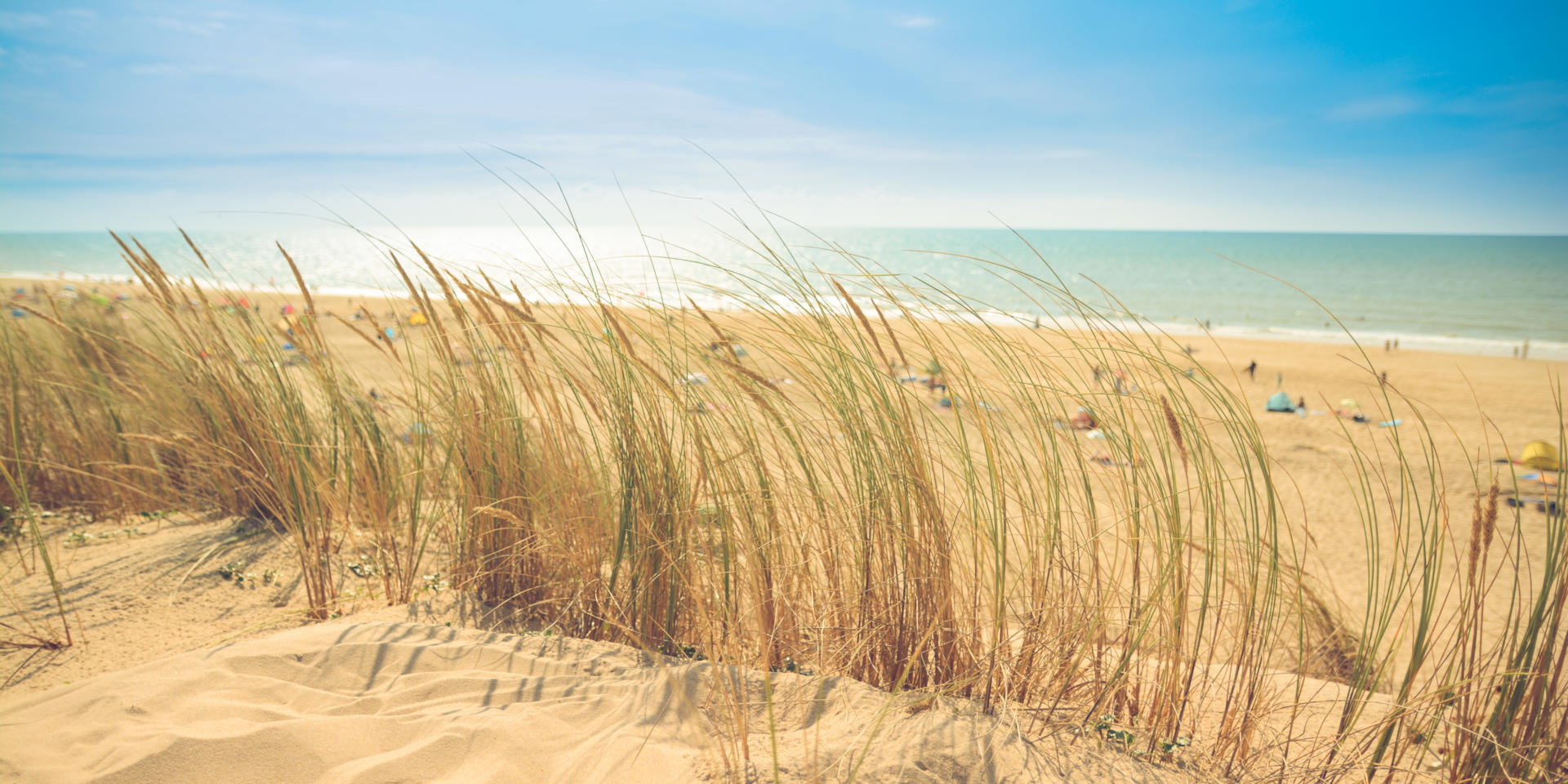 Naturistenstrand van Arnaoutchot in Vielle Saint Girons | Côte Landes ...