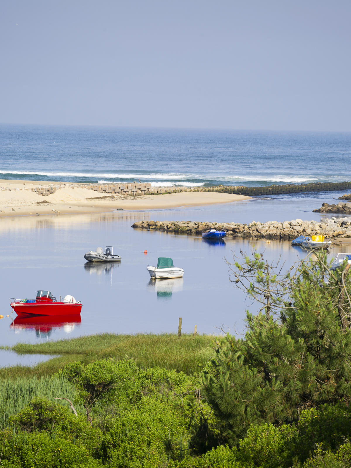 La Forêt landaise | Côte Landes Nature Tourisme