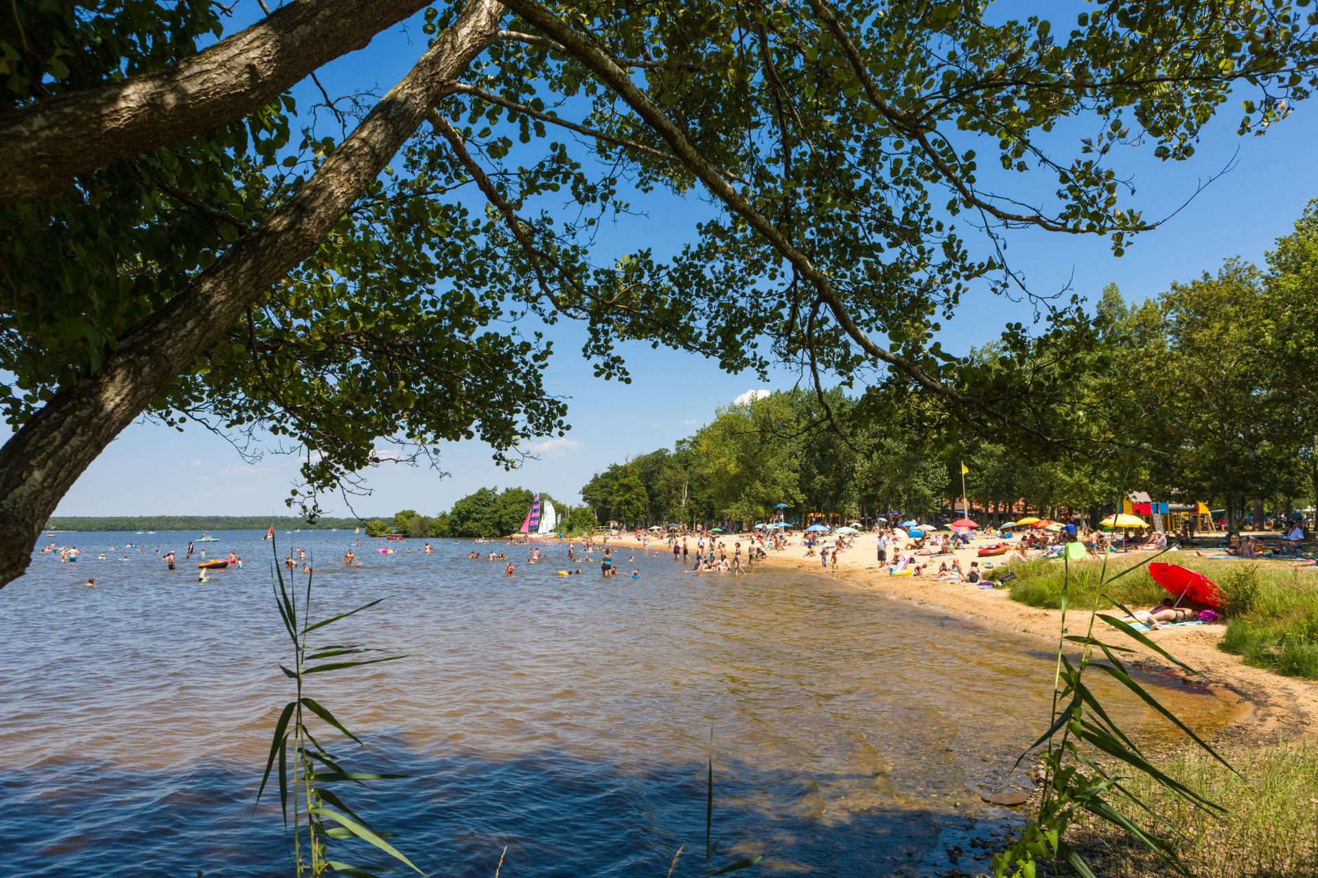 Lac de Léon - plage de Léon, côté sud | Côte Landes Nature Tourisme