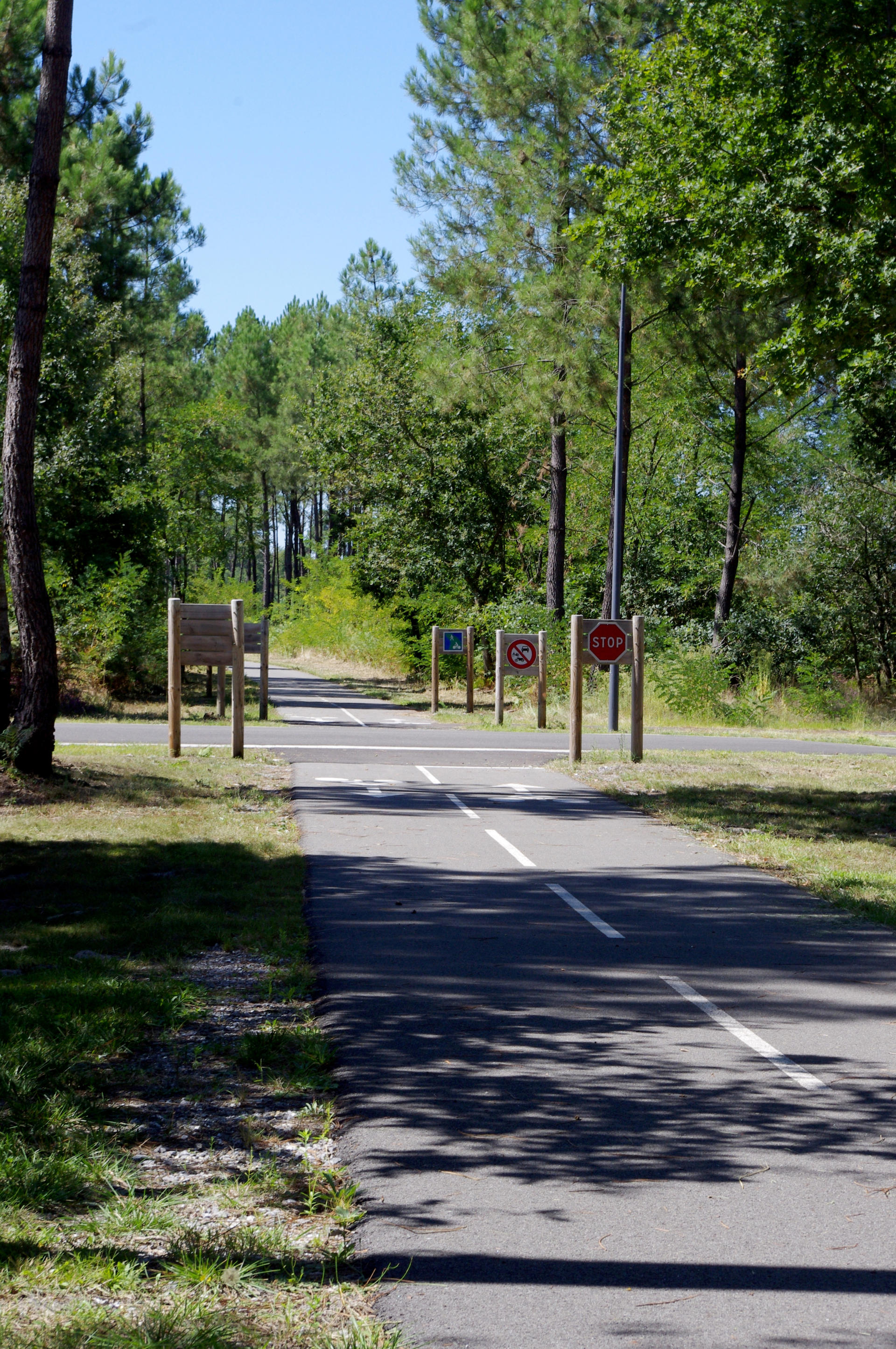 Castets Landes près de Saint Girons plage | Office de Tourisme à Castets