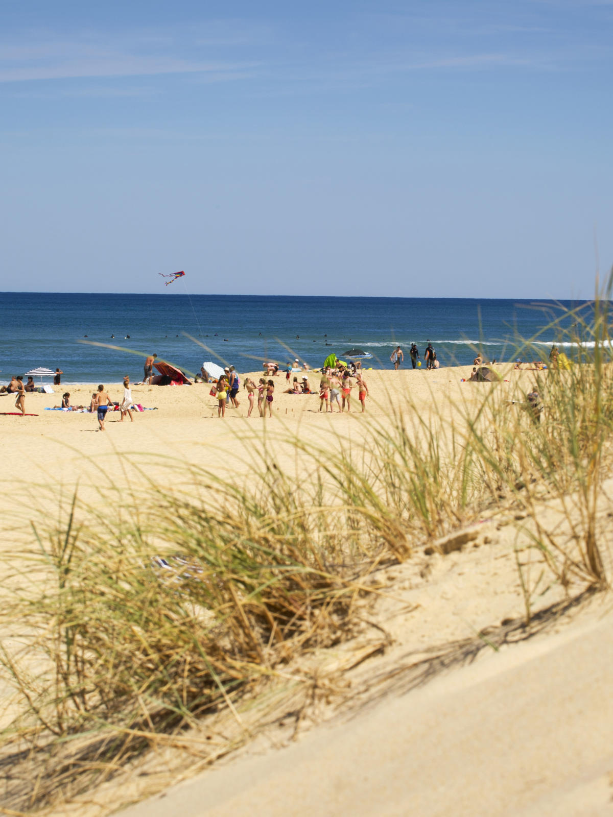 Arnaoutchot in Vielle Saint Girons | Côte Landes Nature Tourisme