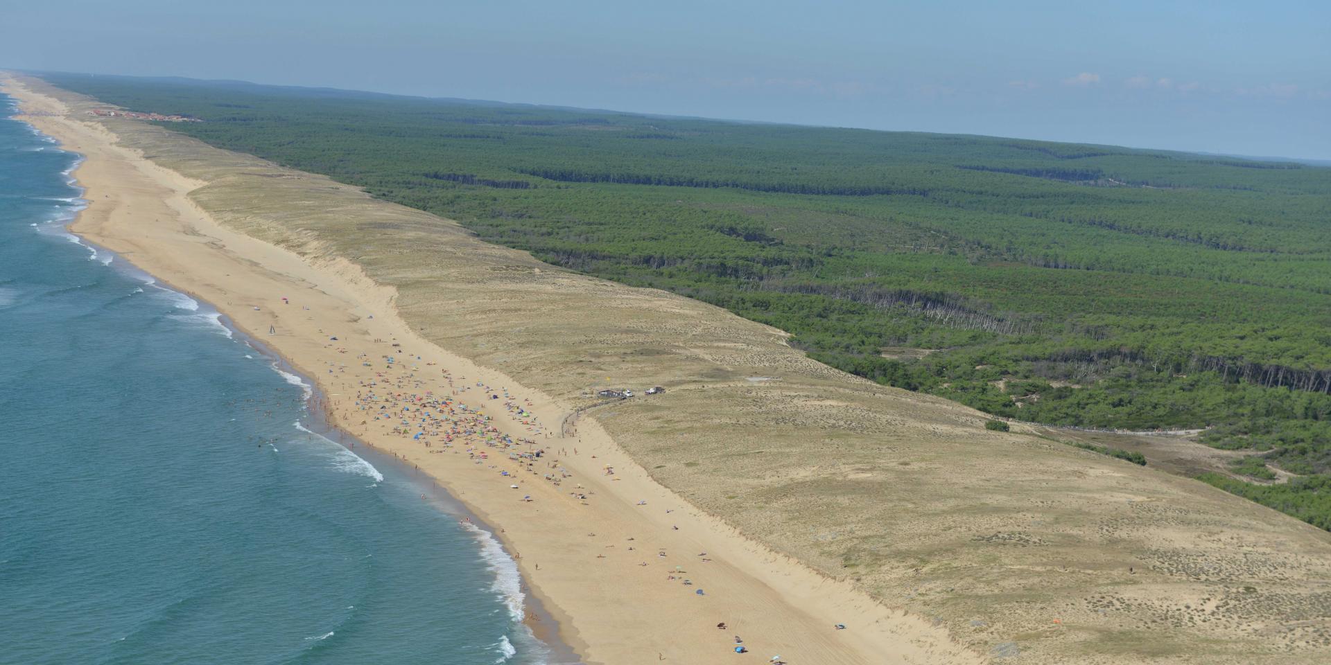 Arnaoutchot in Vielle Saint Girons | Côte Landes Nature Tourisme