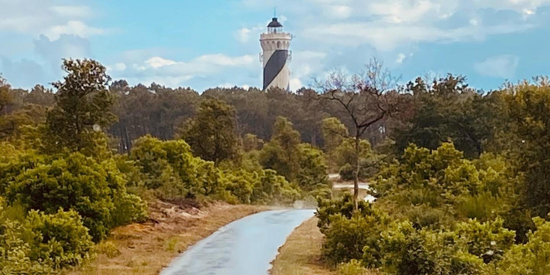 From Contis beach to lake leon, in videos | Côte Landes Nature Tourisme