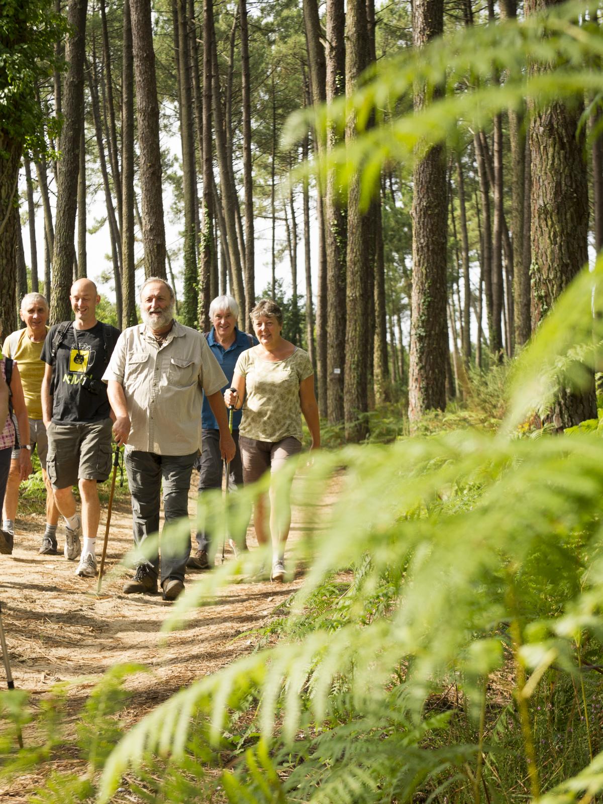 La Forêt landaise | Côte Landes Nature Tourisme